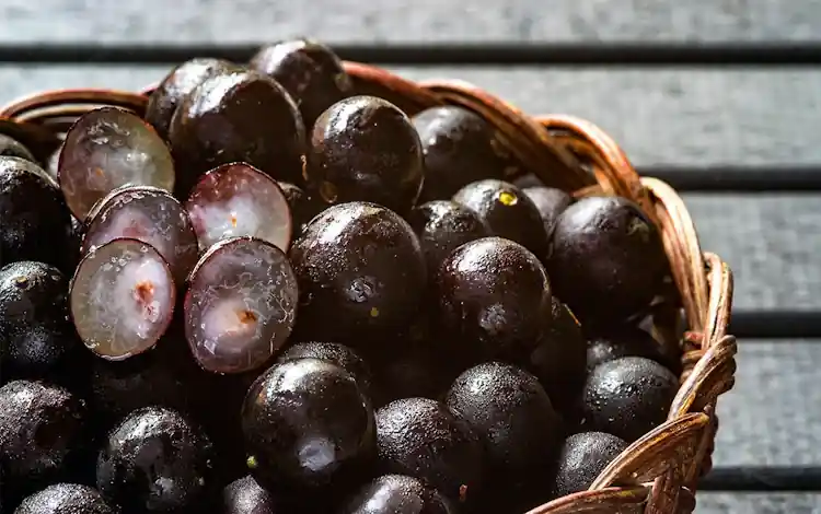 Saiba Tudo Sobre o Açaí: 7 Benefícios e Dicas Essenciais!